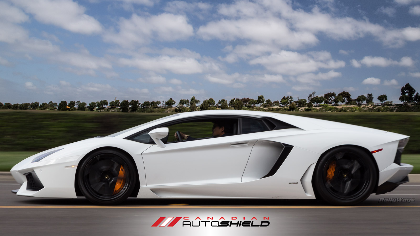 Rolling Lamborghini Aventador - Canadian Auto Shield - Photo by ...